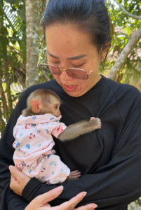 Mom Comfy Hug Max To Go Back Home. – IMPIRENEWS